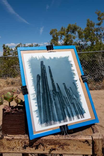 Joshua Tree: Cyanotype Sunprint Workshop - What Is a Cyanotype Sunprint Workshop?