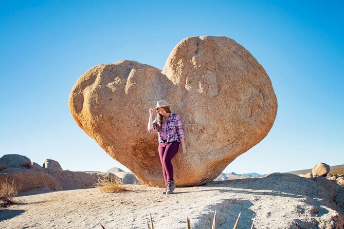 Joshua Tree National Park and Pioneertown Tour - Who Should Consider This Tour?