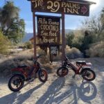 Joshua Tree National Park: E-Bike Rental - What’s Included and What You Should Know