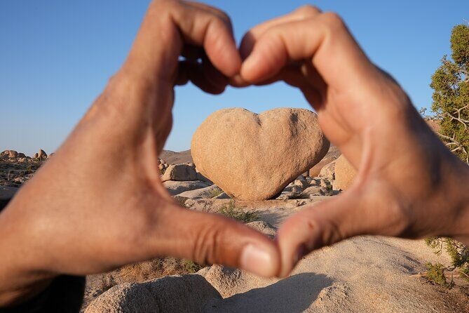 Joshua Tree National Park Private Adventure from Los Angeles - How This Tour Balances Value and Experience