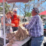Juarez downtown walking tour - Summary and Who It’s Best For
