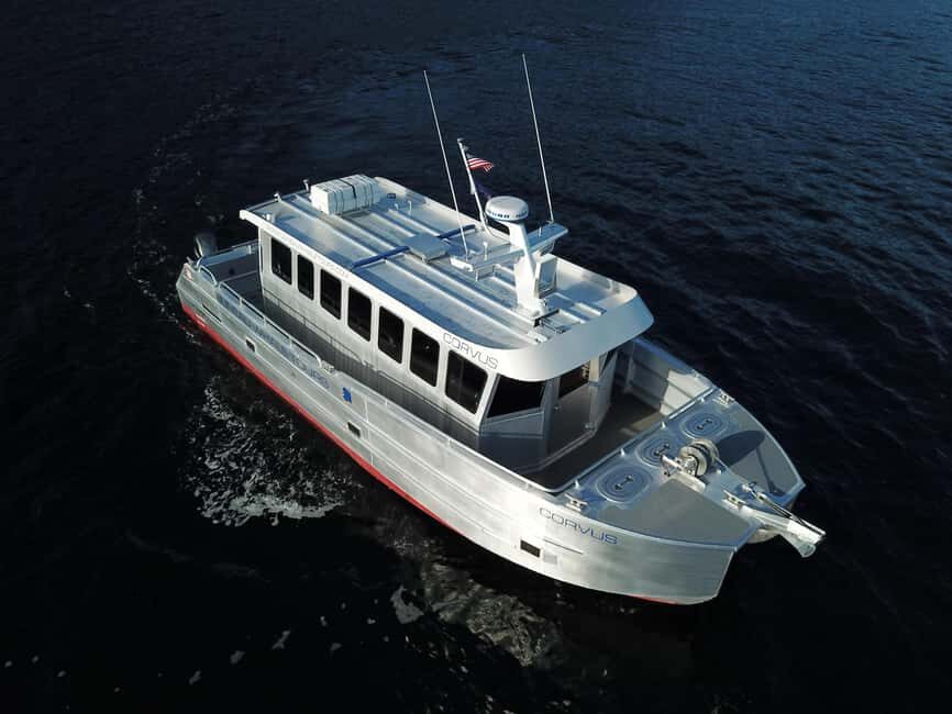 Juneau: 3.5-Hour Small Group Whale Watching Tour - Who Will Love This Tour?