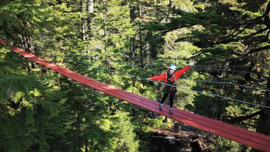 Juneau: Alpine Zipline Adventure - Final Thoughts: Who Will Love This Tour?