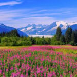 Juneau: Craft Beer and Brewery Tour with Scenic Stops - Key Points