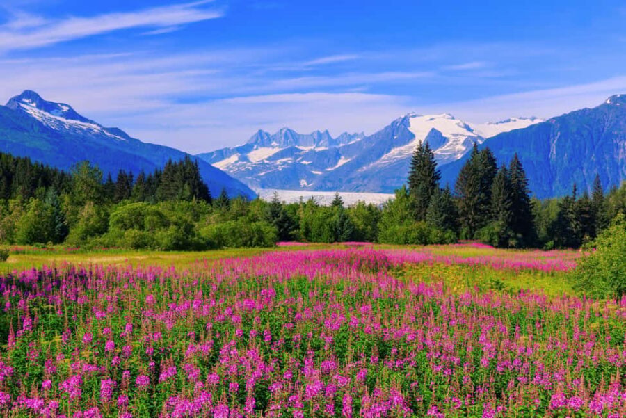 Juneau: Craft Beer and Brewery Tour with Scenic Stops - Key Points