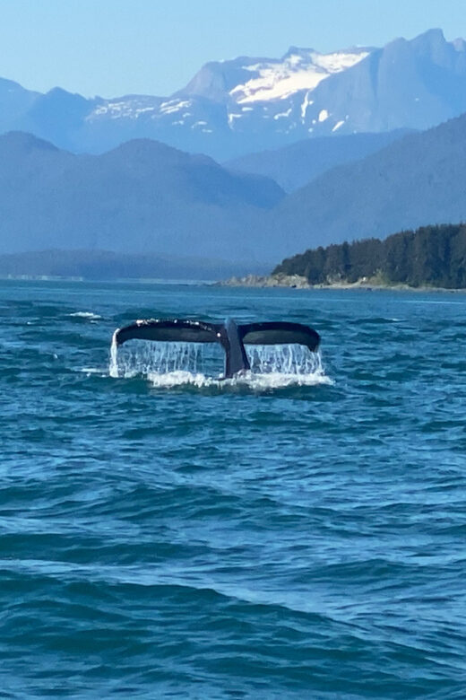 Juneau: Mendenhall Glacier and Whale Watching Tour - Who Will Love This Experience?
