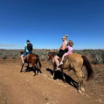 Jungle and beach horseback ride + lunch + mezcal - Authenticity and Reputation