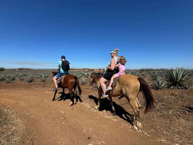 Jungle and beach horseback ride + lunch + mezcal - Authenticity and Reputation