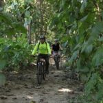 Jungle Bike Tour - Final Thoughts: Is It Worth It?