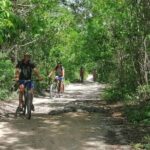 Jungle Bike Tour from Playa del Carmen with Bath in a Cenote - The Value of this Experience