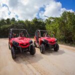 Jungle Buggy Tour from Playa del Carmen Including Cenote Swim - The Value and Price Analysis