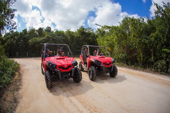 Jungle Buggy Tour from Playa del Carmen Including Cenote Swim - The Value and Price Analysis