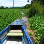 Jungle Coyuca Lagoon Boat Ride Experience & Baby Turtle Release - Visiting Barra de Coyuca: A Charming Village