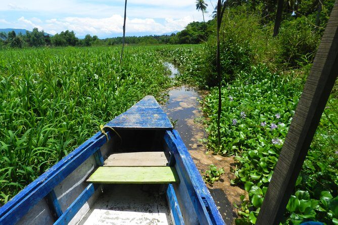 Jungle Coyuca Lagoon Boat Ride Experience & Baby Turtle Release - Visiting Barra de Coyuca: A Charming Village