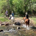 Jungle HorseBack Adventure to Las Palmas Waterfall All Included - The Practical Aspects