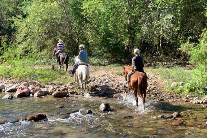 Jungle HorseBack Adventure to Las Palmas Waterfall All Included - The Practical Aspects