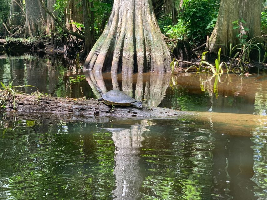 Jupiter: Wild and Scenic Loxahatchee River Kayak Tour - Final Thoughts: Who Is This Tour Best For?