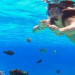 Ka'anapali Beach: Coral Reef Snorkel and Turtle Spotting - Itinerary Breakdown