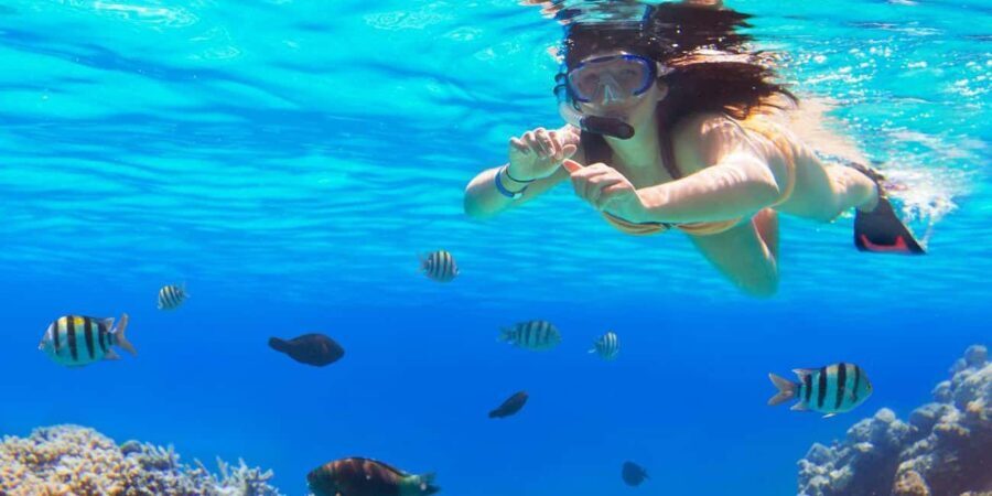 Ka'anapali Beach: Coral Reef Snorkel and Turtle Spotting - Itinerary Breakdown
