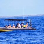 Kailua-Kona: Private Marine Charter Adventure - Who Is This Tour Best For?