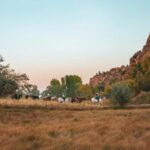Kanab: Cave Lakes Canyon Horseback Riding Experience - What to Expect During the Ride