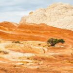 Kanab: White Pocket Tour & Hike - The Itinerary Breakdown