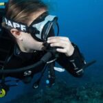 Kauai: 2 Tank Afternoon Dive - Itinerary Breakdown