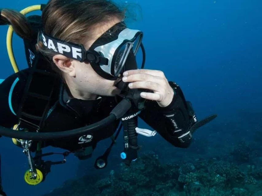 Kauai: 2 Tank Afternoon Dive - Itinerary Breakdown