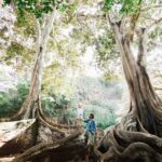 Kauai: Allerton Garden Guided Group Walking Tour - What to Expect During Your Guided Walk