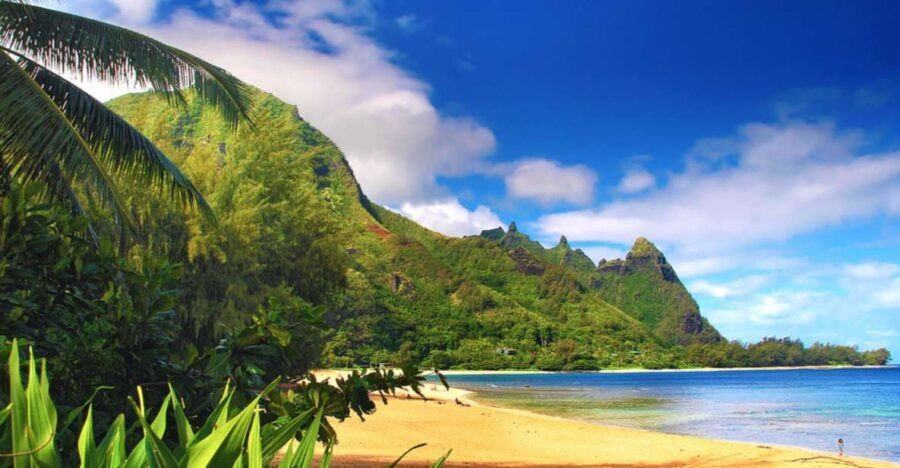 Kauai: Customized Luxury Private Tour - The Guide and the Experience