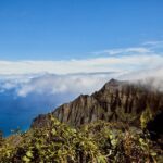 Kauai Full Day Tour with Cruise ships or Kauai Airport Pickup - The Experience in Practice