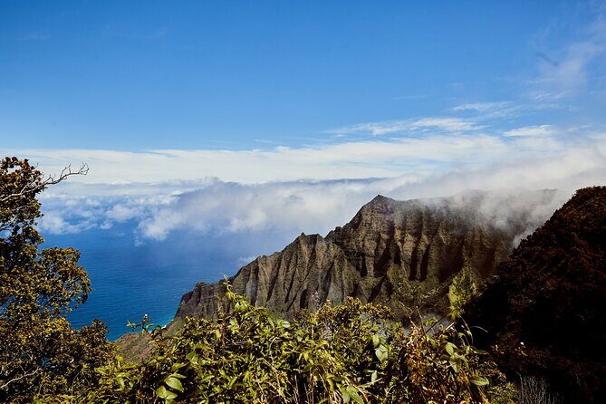 Kauai Full Day Tour with Cruise ships or Kauai Airport Pickup - The Experience in Practice