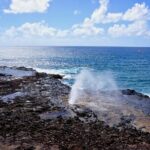 Kauai Highlights Full Day Tour with Waikiki Pickup - Practical Considerations and What to Expect