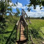 Kauai Island Tour : Journey to Waimea Canyon & More Highlights - The Itinerary Breakdown: What You’ll See and Do