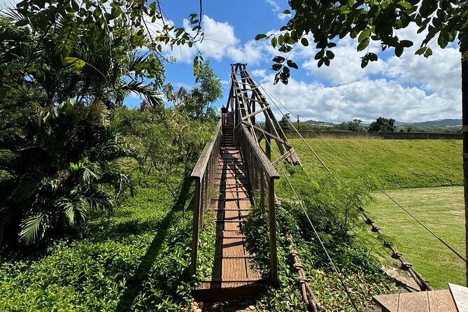 Kauai Island Tour : Journey to Waimea Canyon & More Highlights - The Itinerary Breakdown: What You’ll See and Do