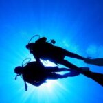 Kauai: Morning 2 Tank Boat Dive for Experienced Divers - Who Should Consider This Tour?
