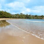 Kauai: Movie Locations Tour - The Value and Who It’s For