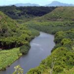 Kauai Northeast Tour, Fern Grotto River Cruise & Lighthouse - Who Will Love This Tour?