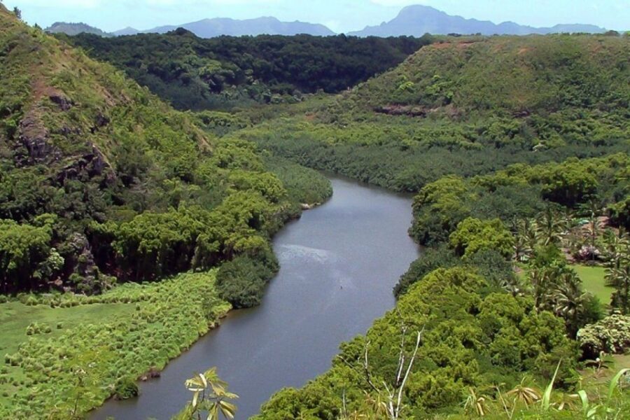 Kauai Northeast Tour, Fern Grotto River Cruise & Lighthouse - Who Will Love This Tour?