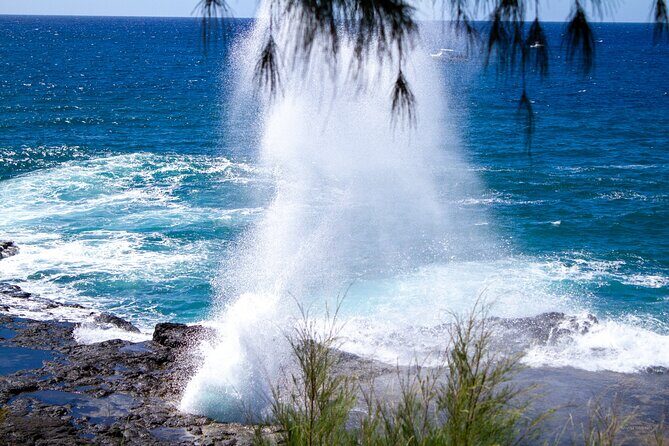 Kauai Private Shuttles - Who Should Consider Kauai Private Shuttles?