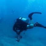 Kauai: Twilight/Night Shore Dive Experience - The Experience in Detail: What You’ll Really See and Do