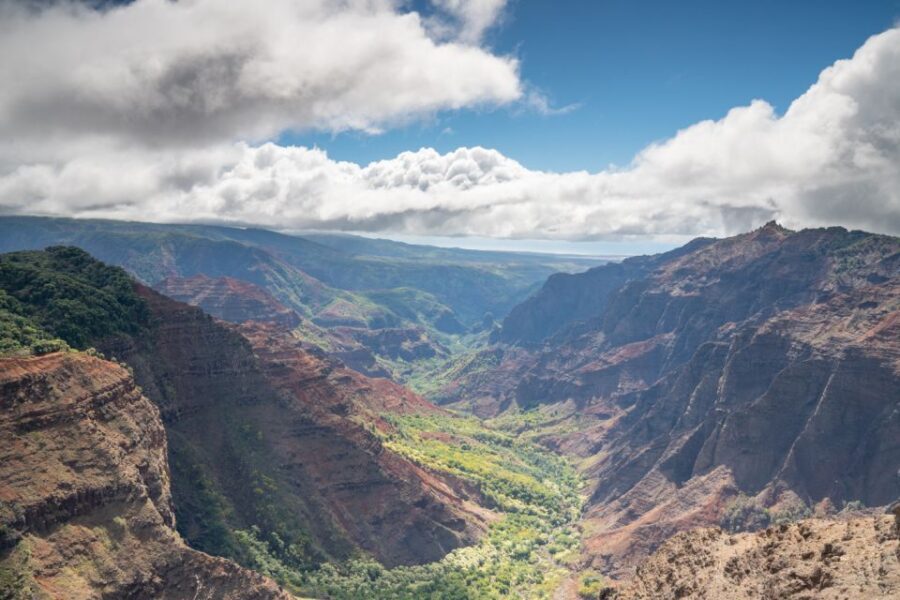 Kauai: Waimea Canyon and Koke'e State Park Tour - Transportation and Group Dynamics