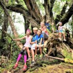 Kauai: Waimea Canyon & Kokee State Park Private Tour - A Scenic Journey with Personal Touches