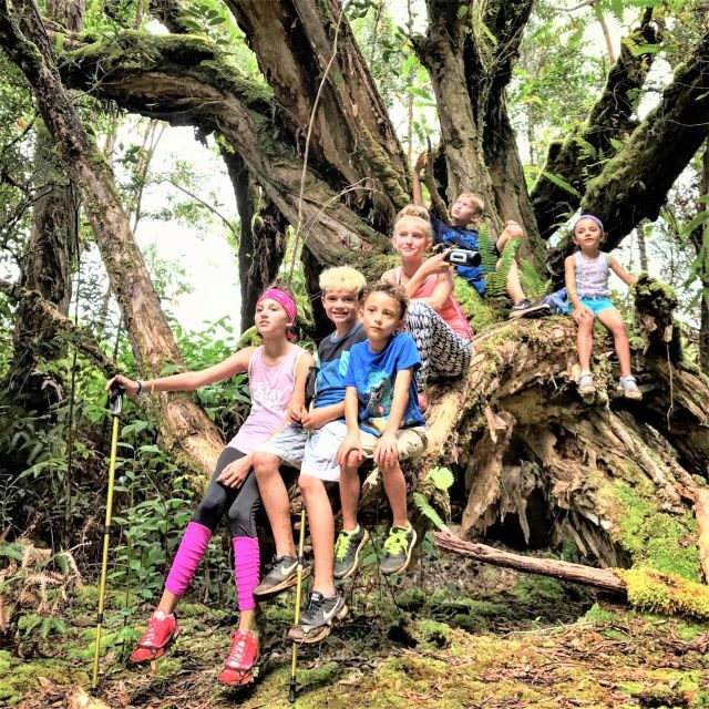 Kauai: Waimea Canyon & Kokee State Park Private Tour - A Scenic Journey with Personal Touches