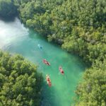 Kayak adventure through Laguna Nichupté in Cancun - FAQs