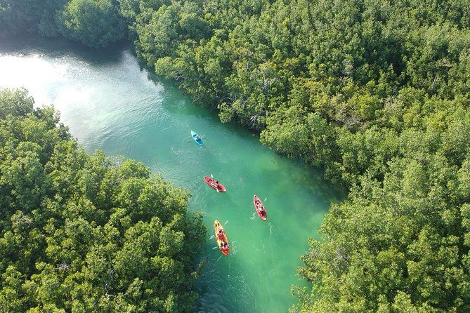 Kayak adventure through Laguna Nichupté in Cancun - FAQs