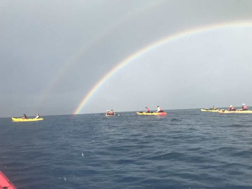 Kayak and Snorkel West Maui at Olowalu - Real Traveler Experiences