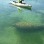 Kayak Eco Tour in Don Pedro Island - How This Tour Stacks Up on Value