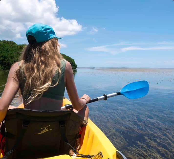 Kayak + Guided Snorkel & Morning Sail - Who Would Enjoy This Tour?