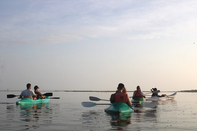 Kayak Mangroves Sunrise Experience - Who Should Consider This Tour?